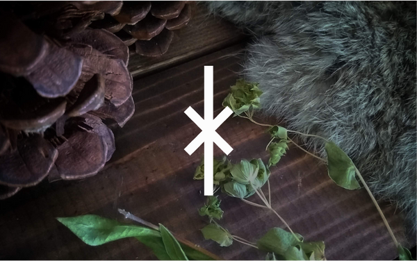 Guest Author | Ior Rune - Embercraft Creations